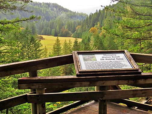 walton ranch 1 small graphic