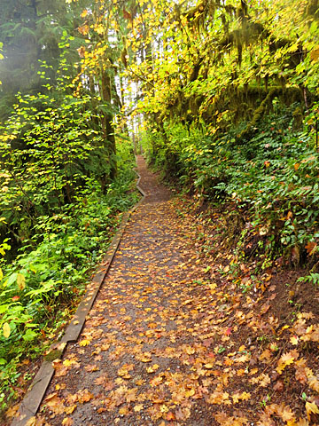 walton ranch 2 small graphic