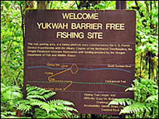 Over the Rivers and Through the Woods